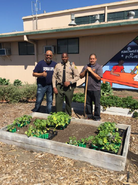 Compton Youth Activities League Foundation – Official Site